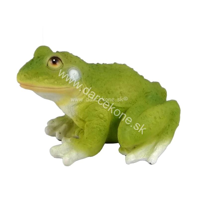 Soška do skalky žaba veľká 21cm
